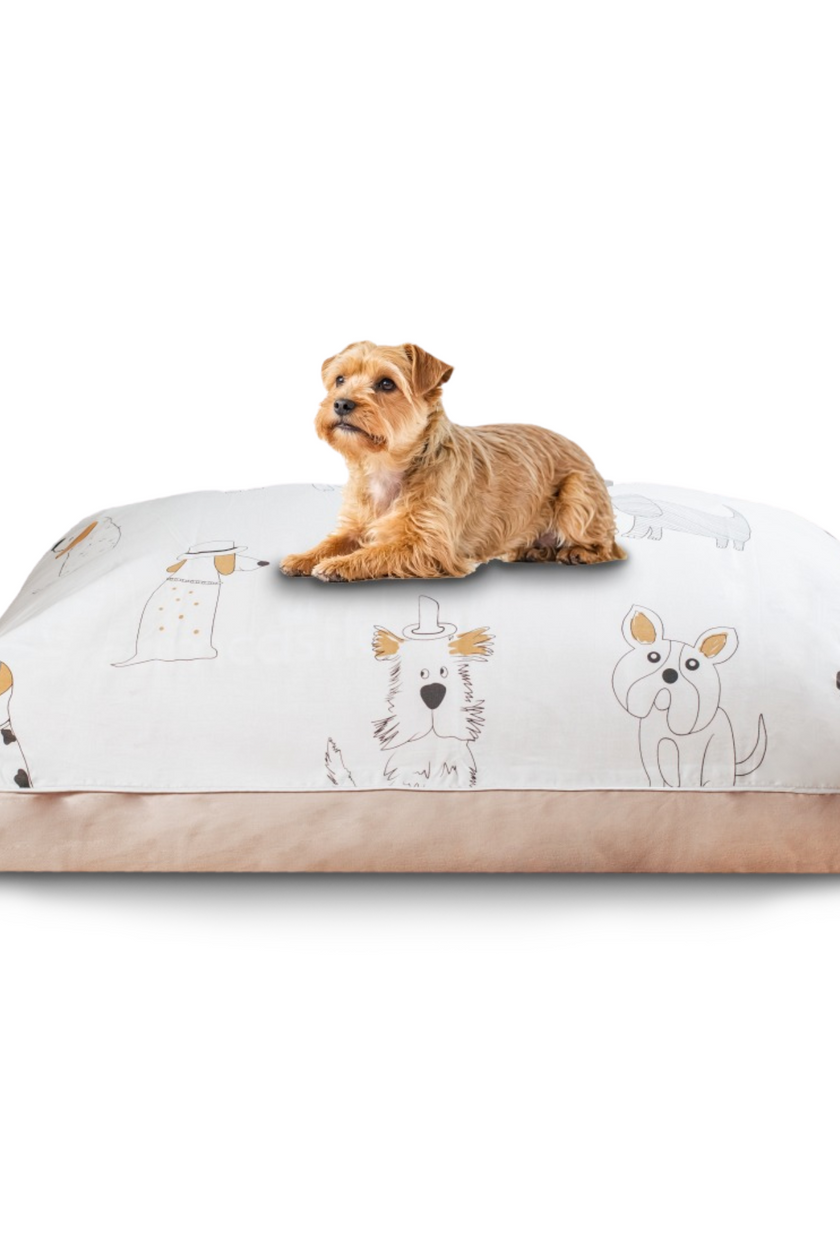 DreamCastle Cooling Dog Bed | For puppies to medium sized breed | Dogg
