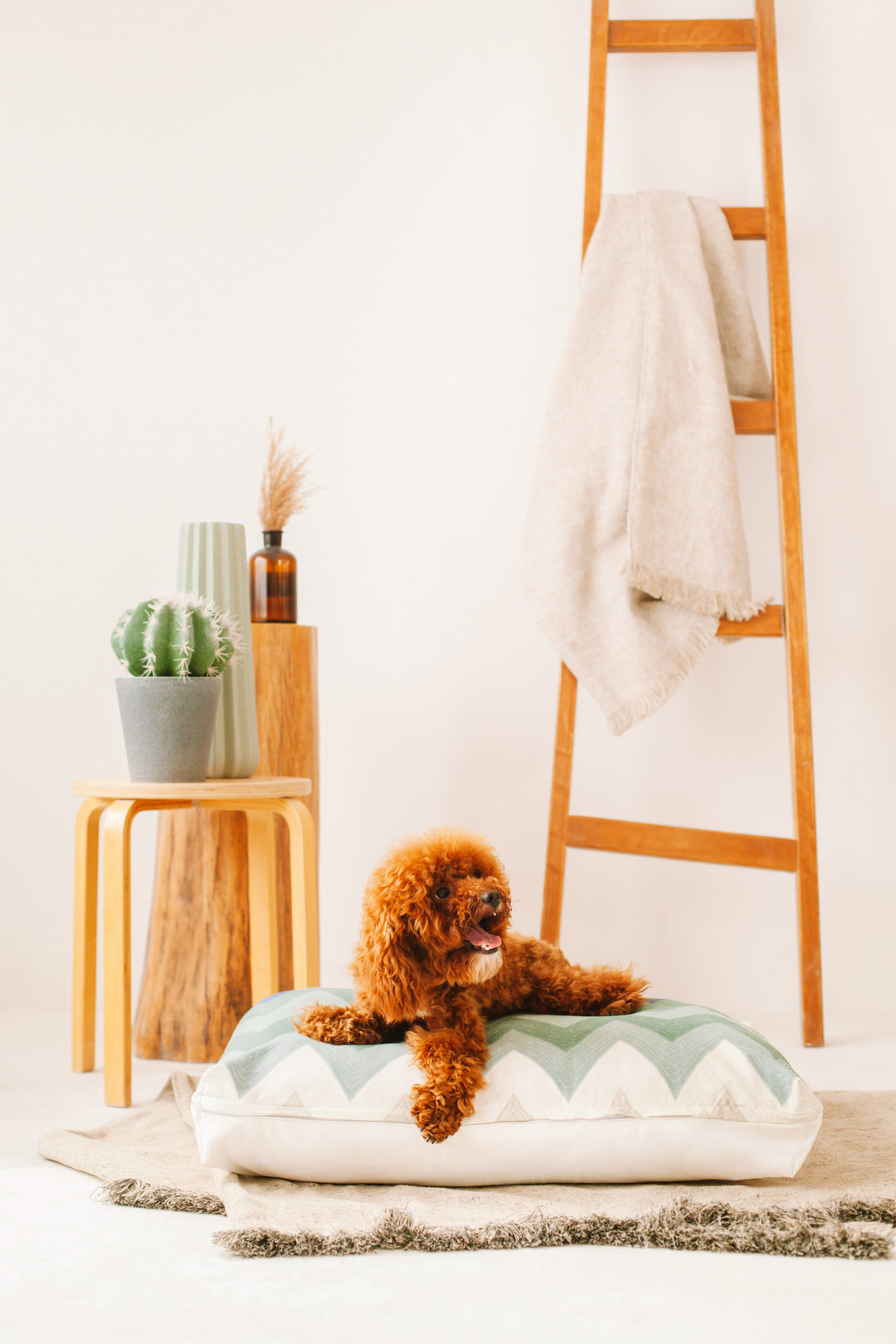 Press Kit – DreamCastle